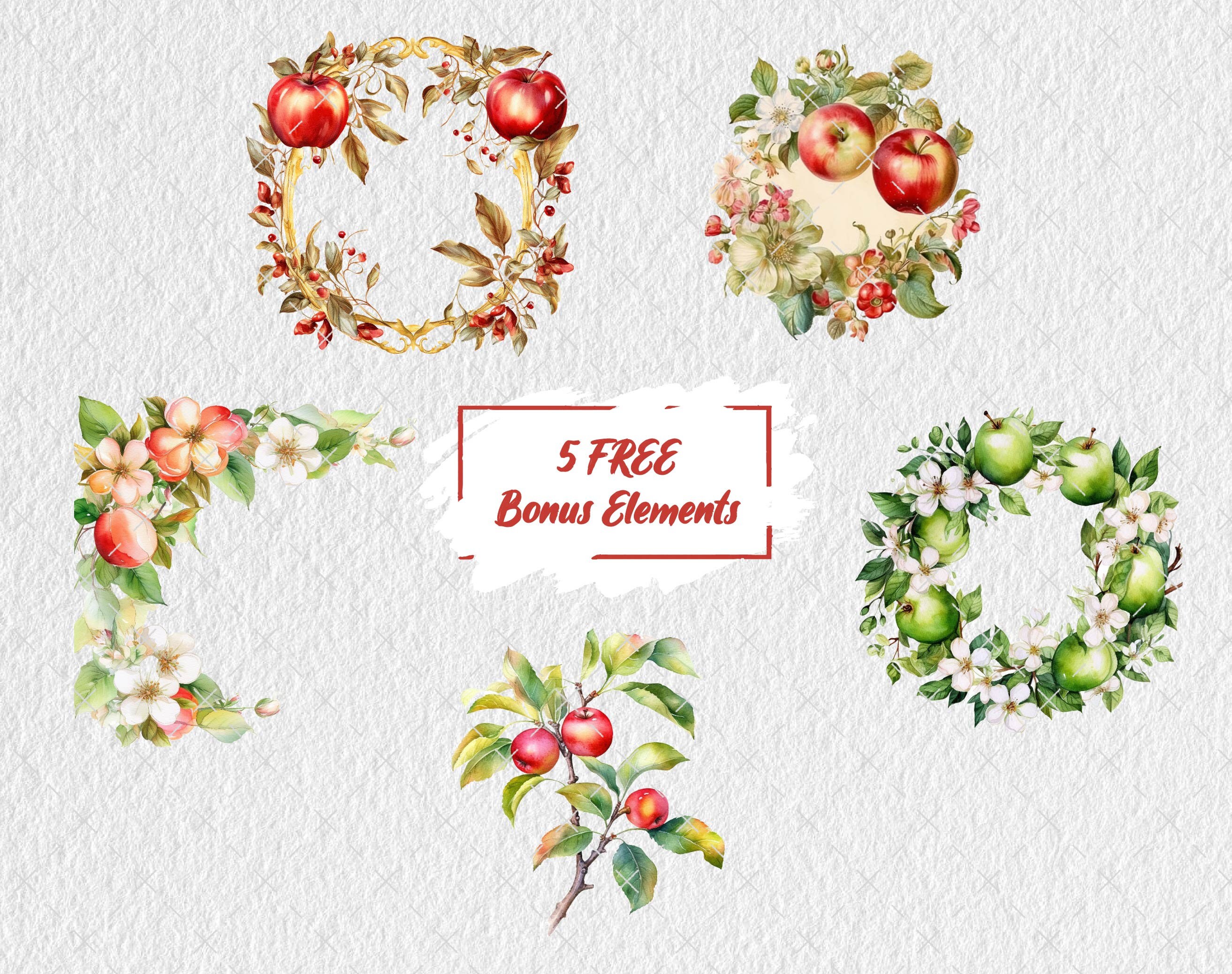 Watercolor Apples Clipart Watercolor Apples Clipart Summer Bundle Apple ...