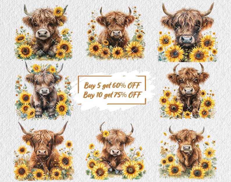 Watercolor Sunflower Highland Cows Clipart, PNG Sunflowers Clipart ...