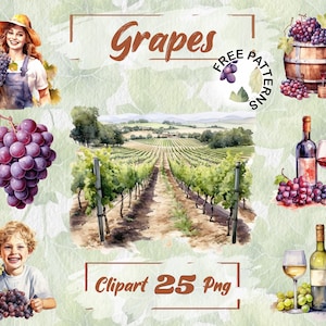 Grapes PNG Clipart Watercolor Grapes Watercolor Wine PNG Grapes Clipart ...