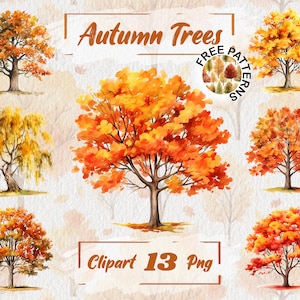 Watercolor Tree Clipart Autumn Clipart Autumn Leaves PNG Fall Trees ...