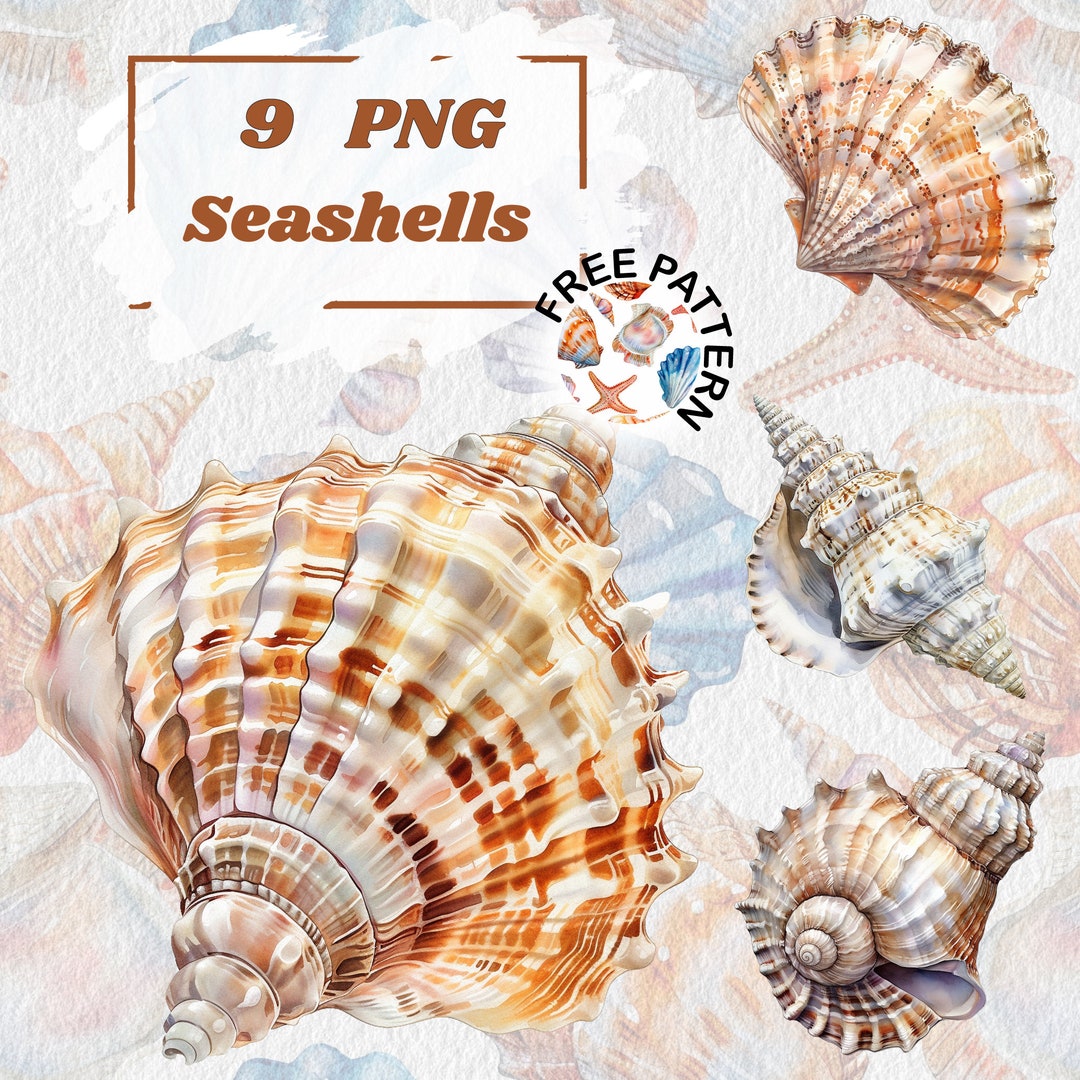 Watercolor Seashells Clipart, Nautical Clip Art, Ocean Sea Clipart ...