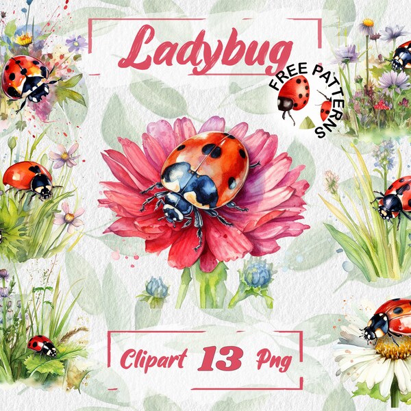 Bug Clipart - Etsy