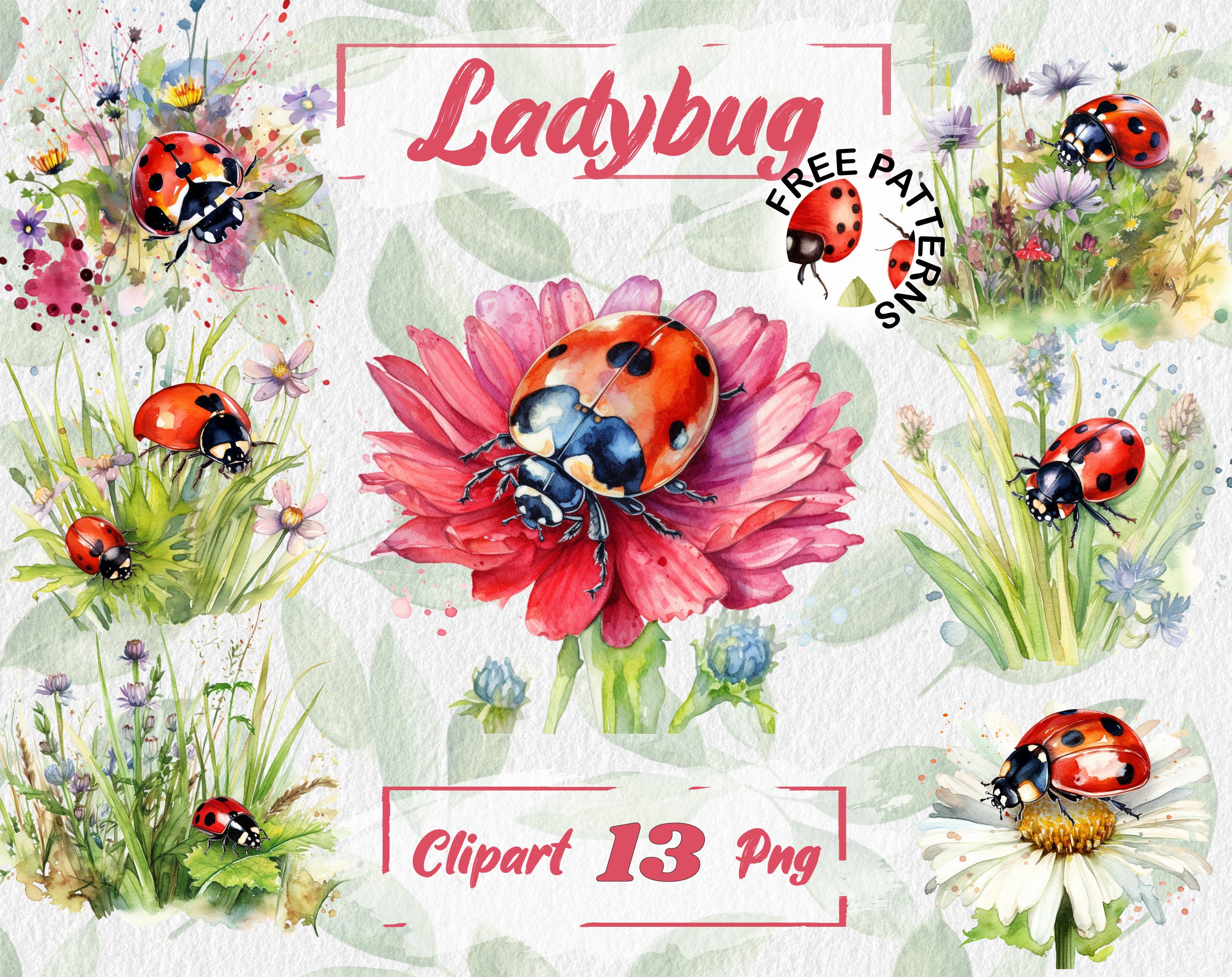 Watercolor Lady Bug Clipart Bug Clip Art Cute Ladybug Clip - Etsy UK