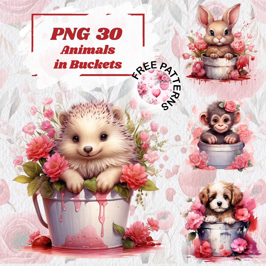 Valentines Day Animals in Buckets Clipart, Cute Animals PNG, Farm ...