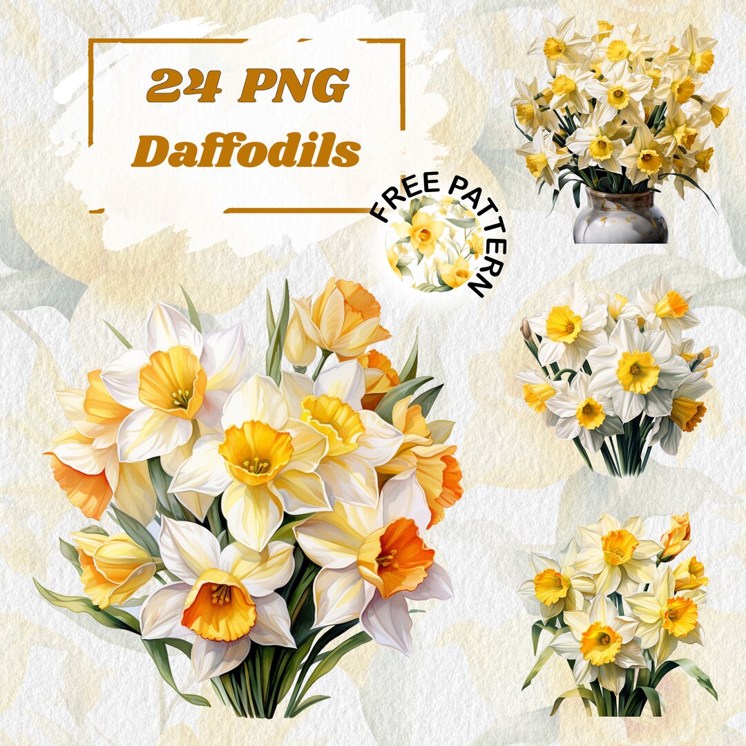 Daffodil Clipart, Watercolor Daffodil PNG, Floral PNG, Summer Clipart ...