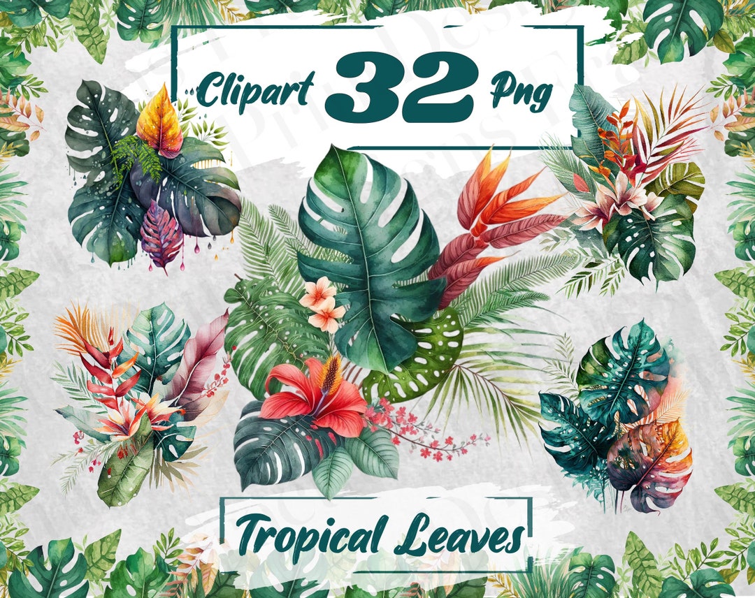 Watercolor Tropical Leaves Clipart Tropical Leaf PNG Summer Clipart ...