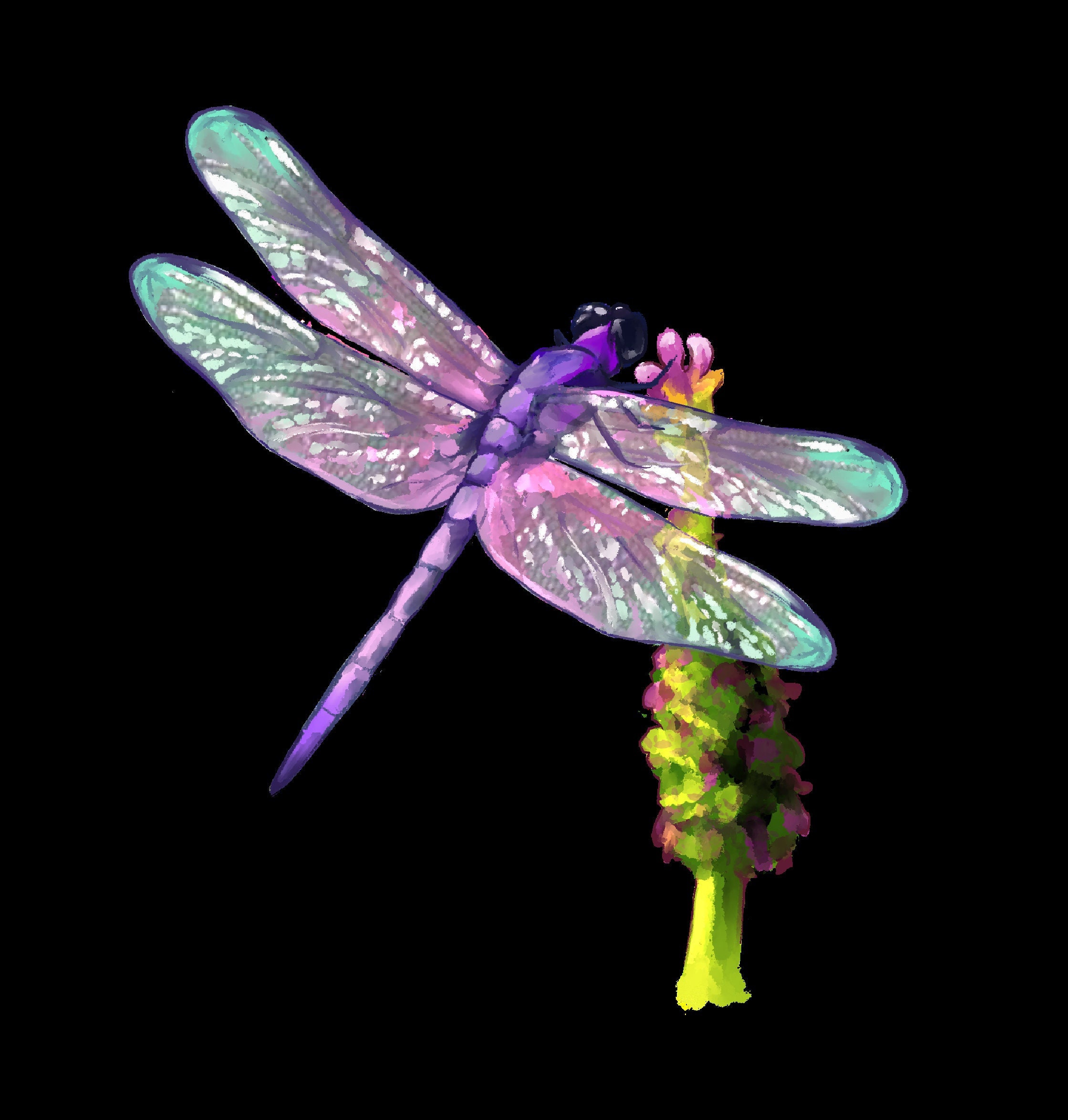 Dragon Fly, Insect, Fantasy, Faith, Dragonfly, Peace, Harmony ...