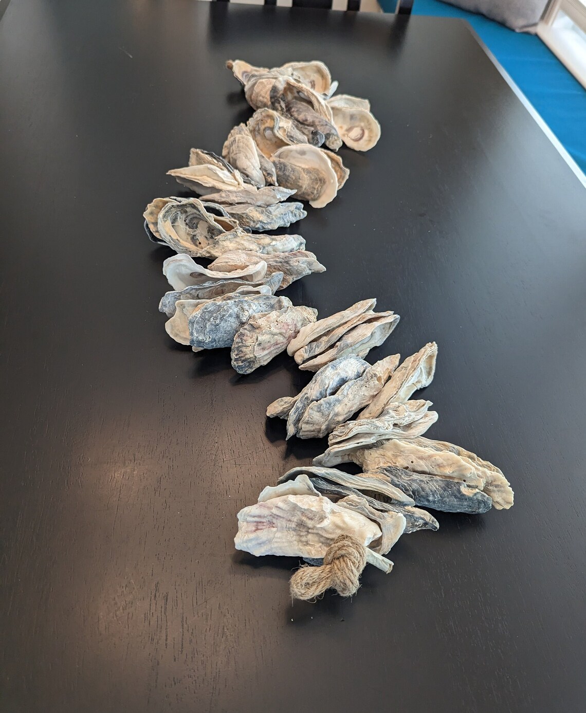 Oyster Shell Table Runner or Hanging Wall Decor. - Etsy