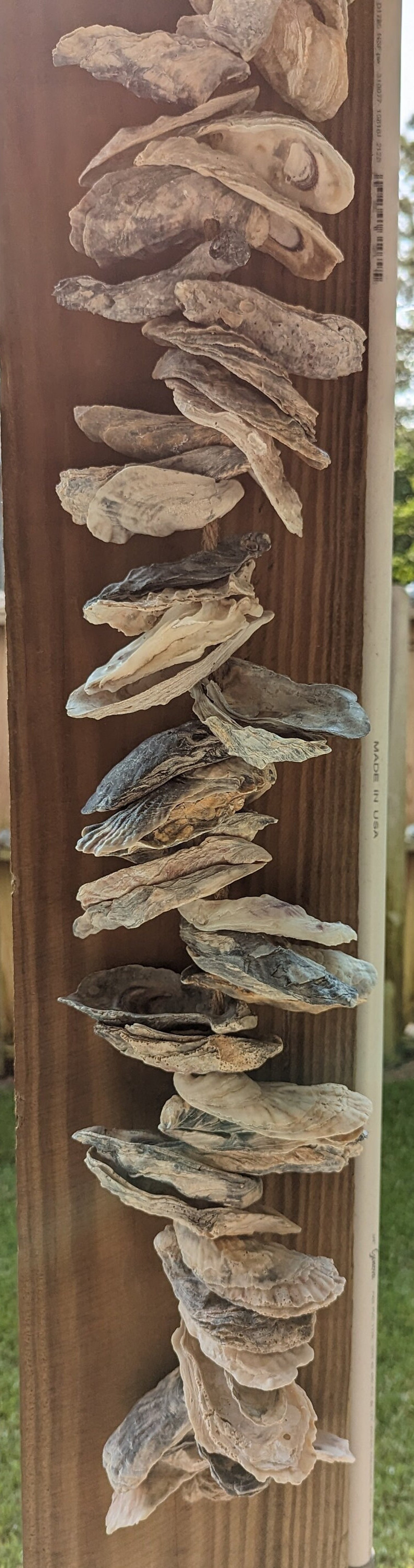 Oyster Shell Table Runner or Hanging Wall Decor. - Etsy