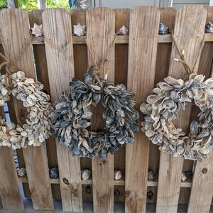 Oyster Shell Wreath Large 18"x18" With Gray Color Hues - Etsy