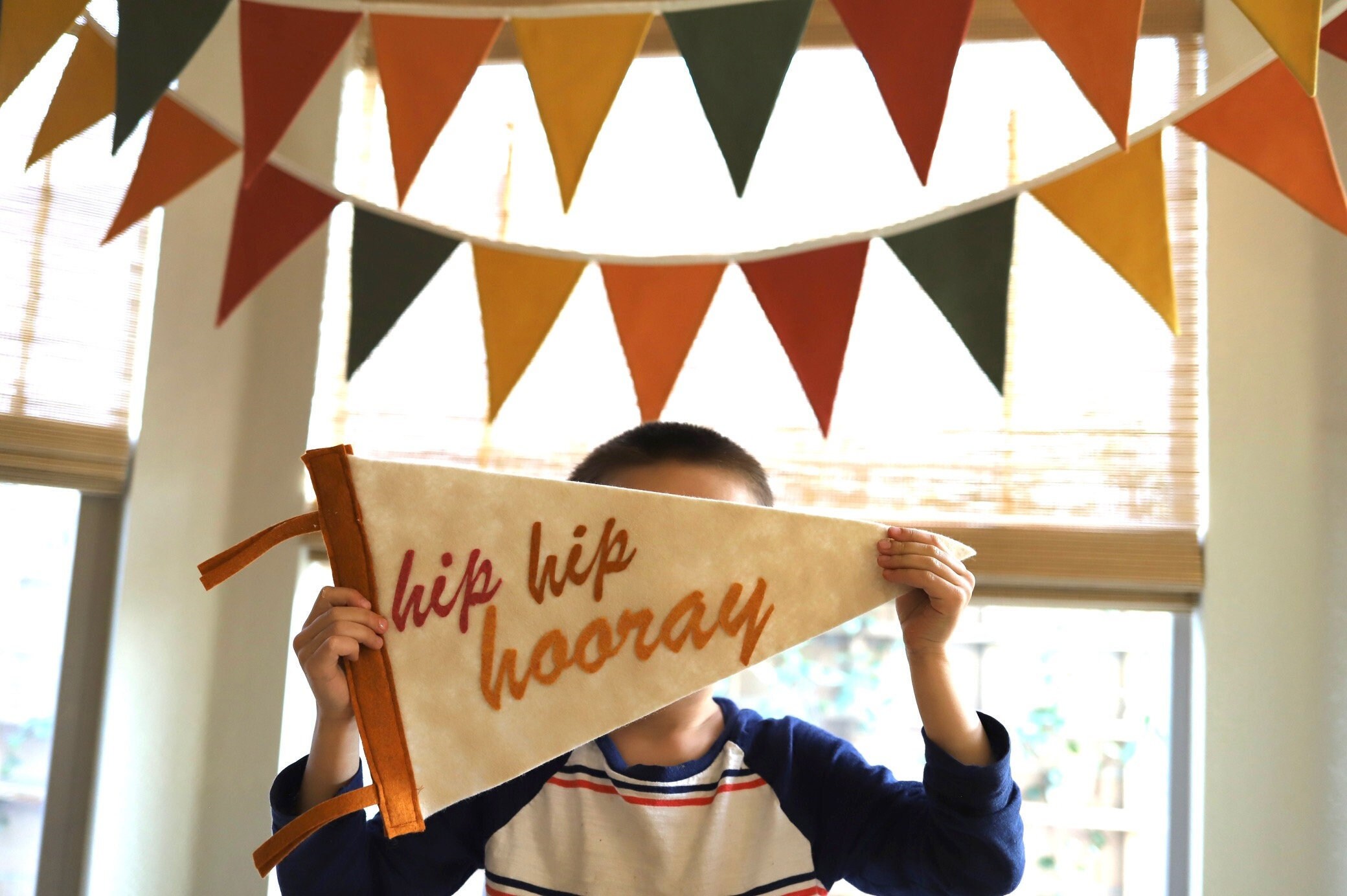 Hip Hip Hooray Pennant Flag - Etsy