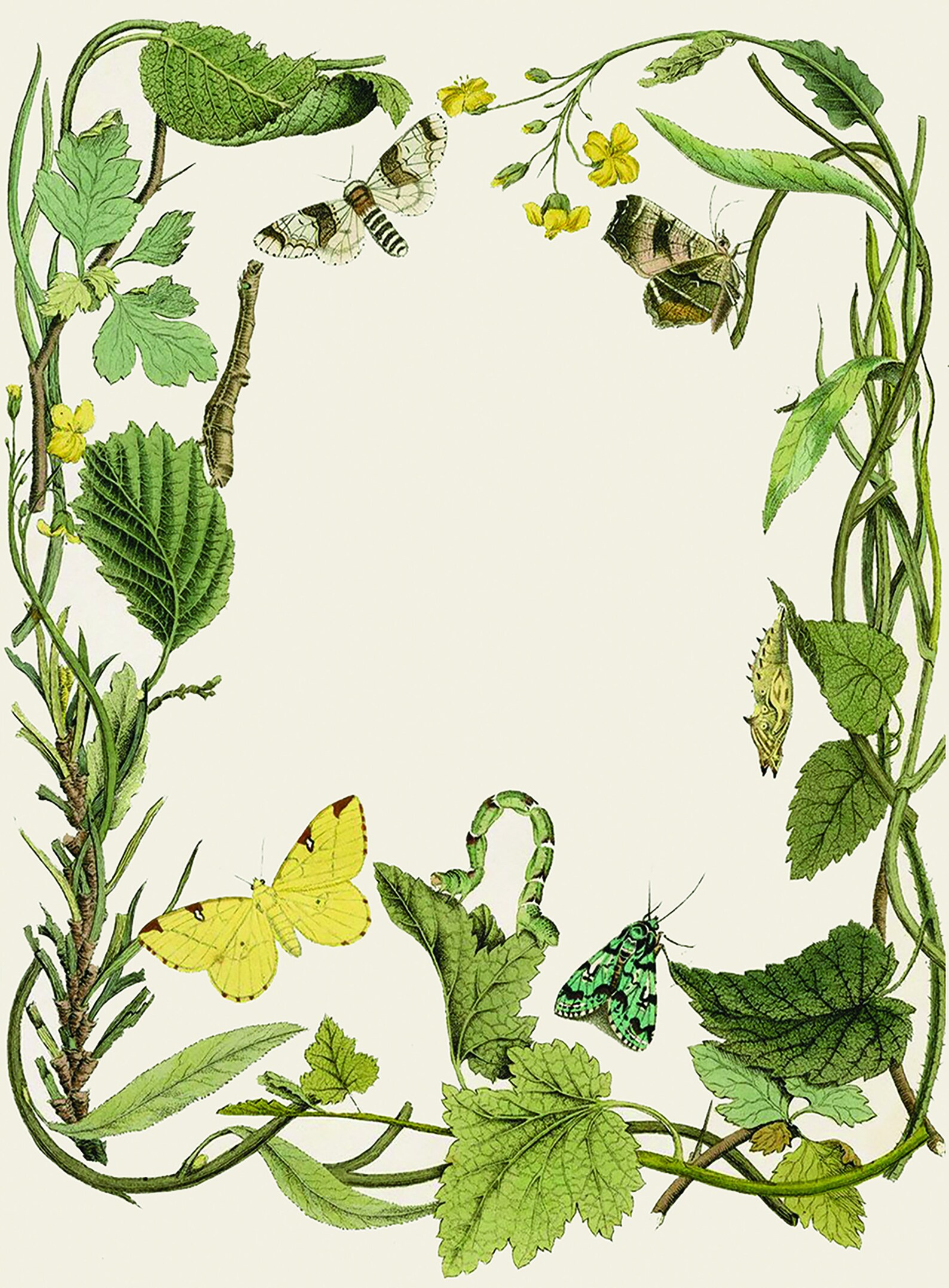 Antique Inspired Menu Cards, Name Cards, Stationary, Wedding GARDEN ...