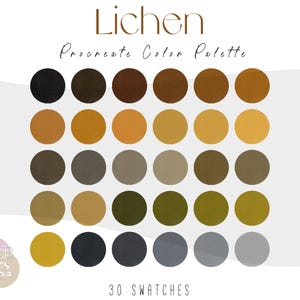 Earth Tones Procreate Color Palette Bundle Color Palette for Procreate ...