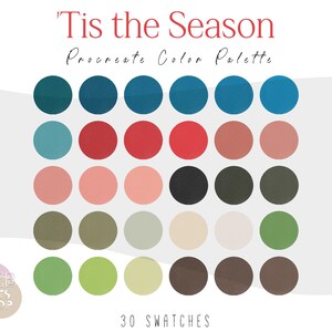 Christmas Procreate Color Palette Bundle | Color Palette for Procreate ...