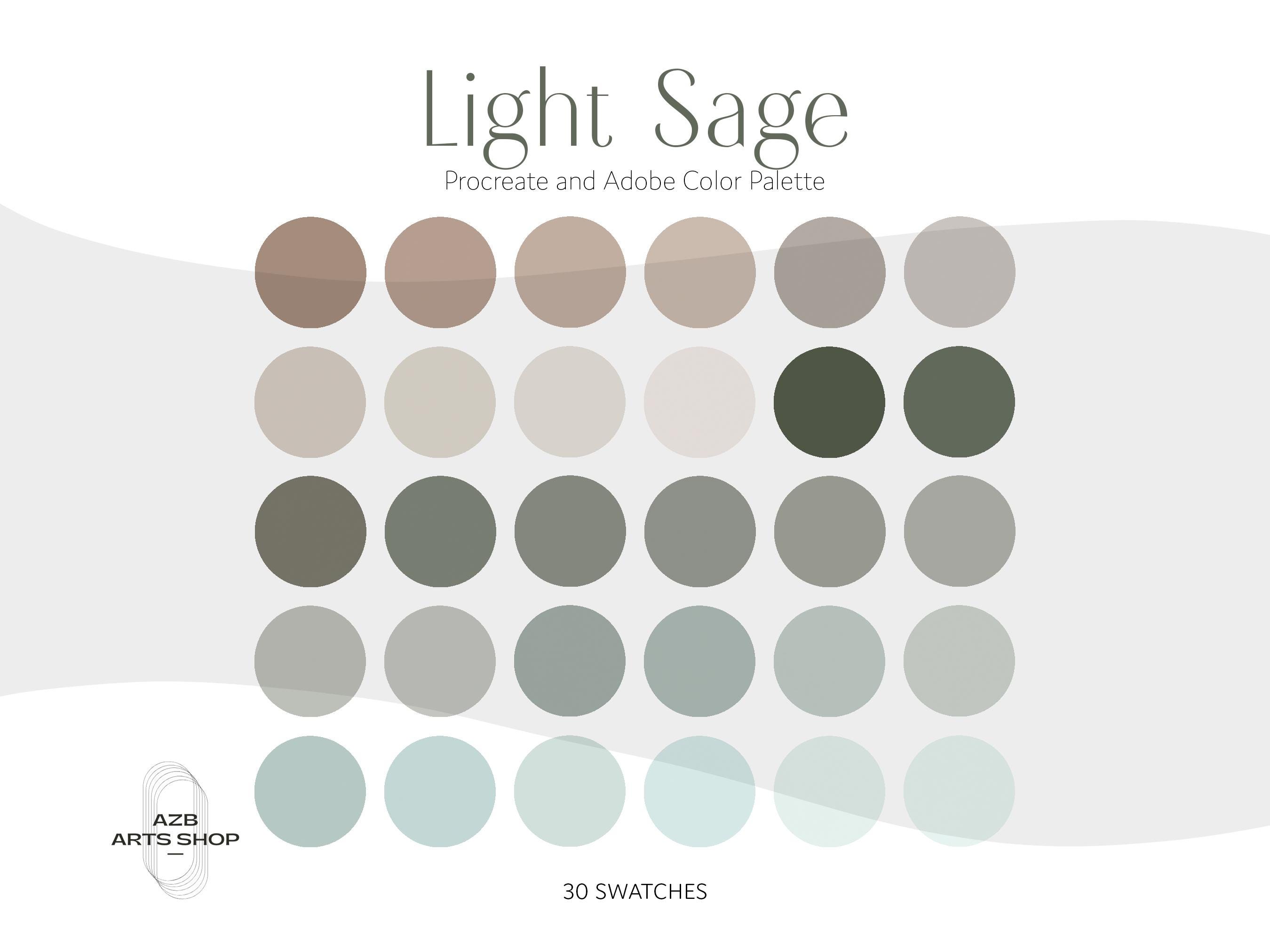 Soft Muted Earthy Neutral Procreate & Adobe Color Palette Bundle ...