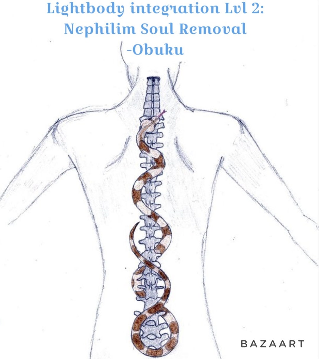 Lightbody Integration Lvl 2: Nephilim Soul Removal - Etsy