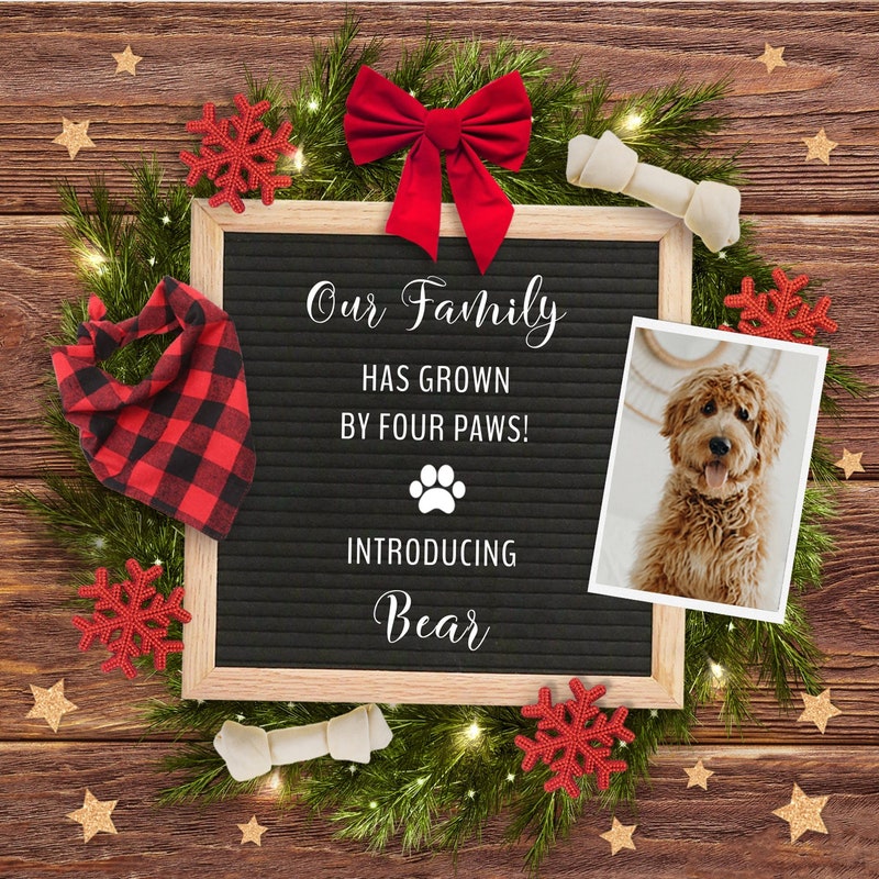 Christmas Dog Treat Sign - Etsy
