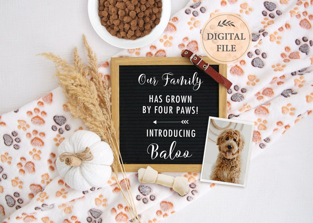 Fall Puppy Announcement: New Family Member Social Media (digital) - Etsy