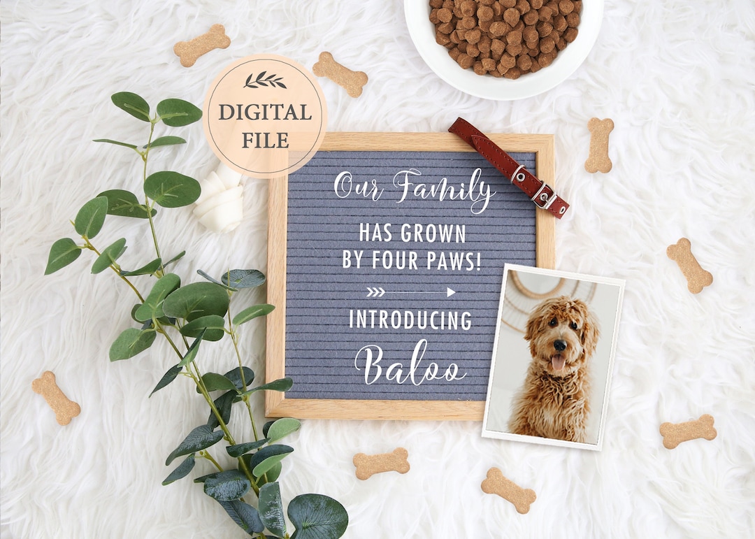 Puppy Announcement Digital File for Social Media, New Family Member ...