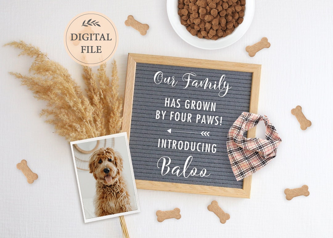 Editable Puppy Announcement: Social Media Dog Reveal (digital Download ...