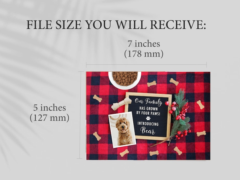 Editable Christmas Puppy Announcement: Letterboard Pet Photo (digital ...