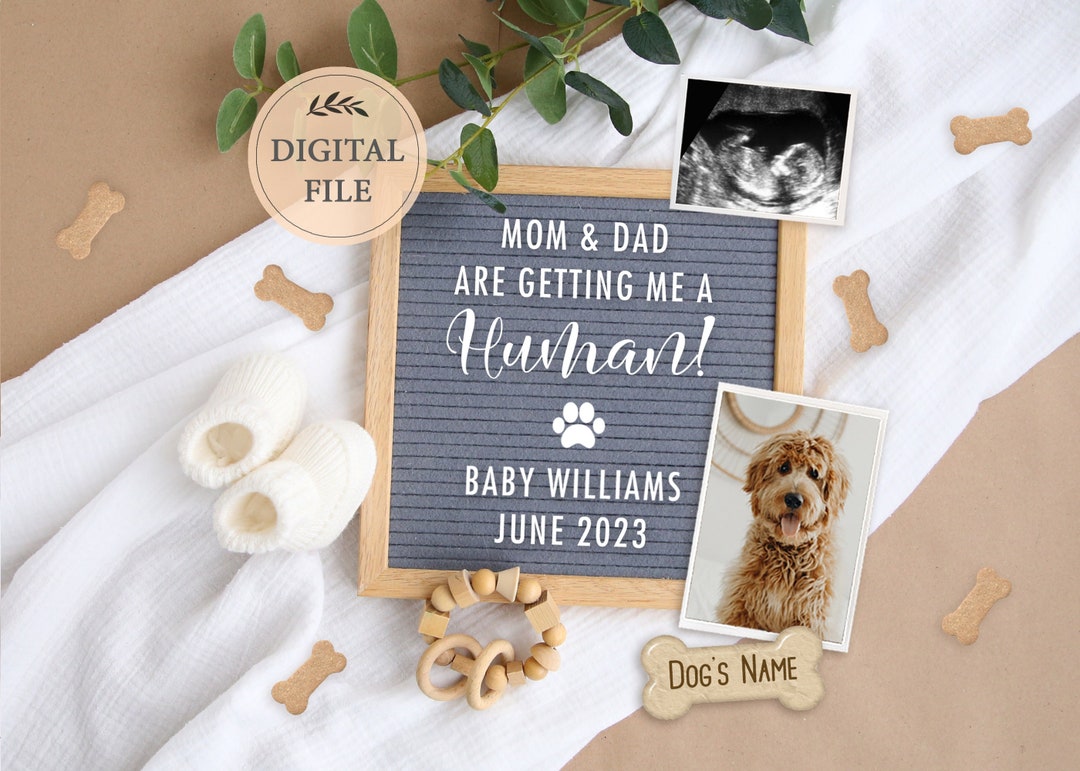 Editable Dog Baby Announcement Digital, Pregnancy Announcement for ...