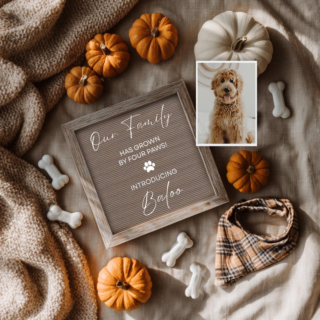 Fall Puppy Announcement: Social Media Template (digital Download ...