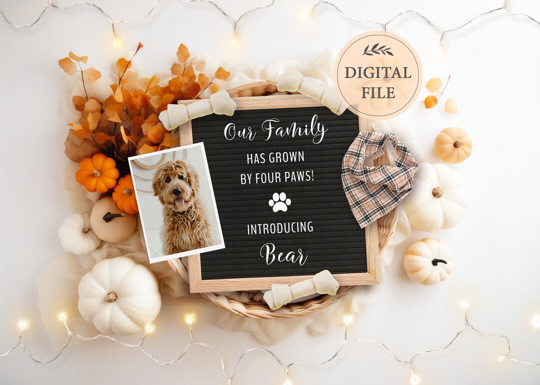Fall Puppy Announcement: Social Media Pet Photo (digital Template) - Etsy