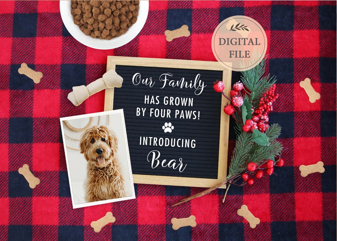 Editable Christmas Puppy Announcement: Letterboard Pet Photo (digital ...