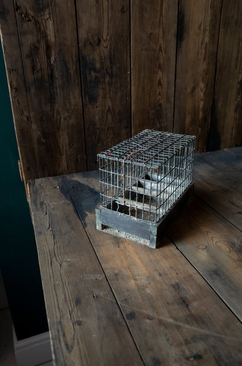 Antique French Primitive Bird Wire Metal Trap Cage Basket Decoration - Etsy