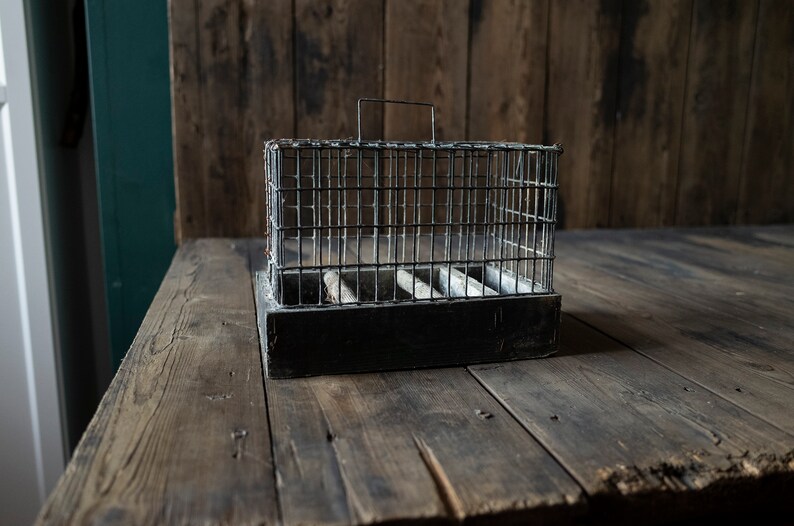 Antique French Primitive Bird Wire Metal Trap Cage Basket Decoration - Etsy