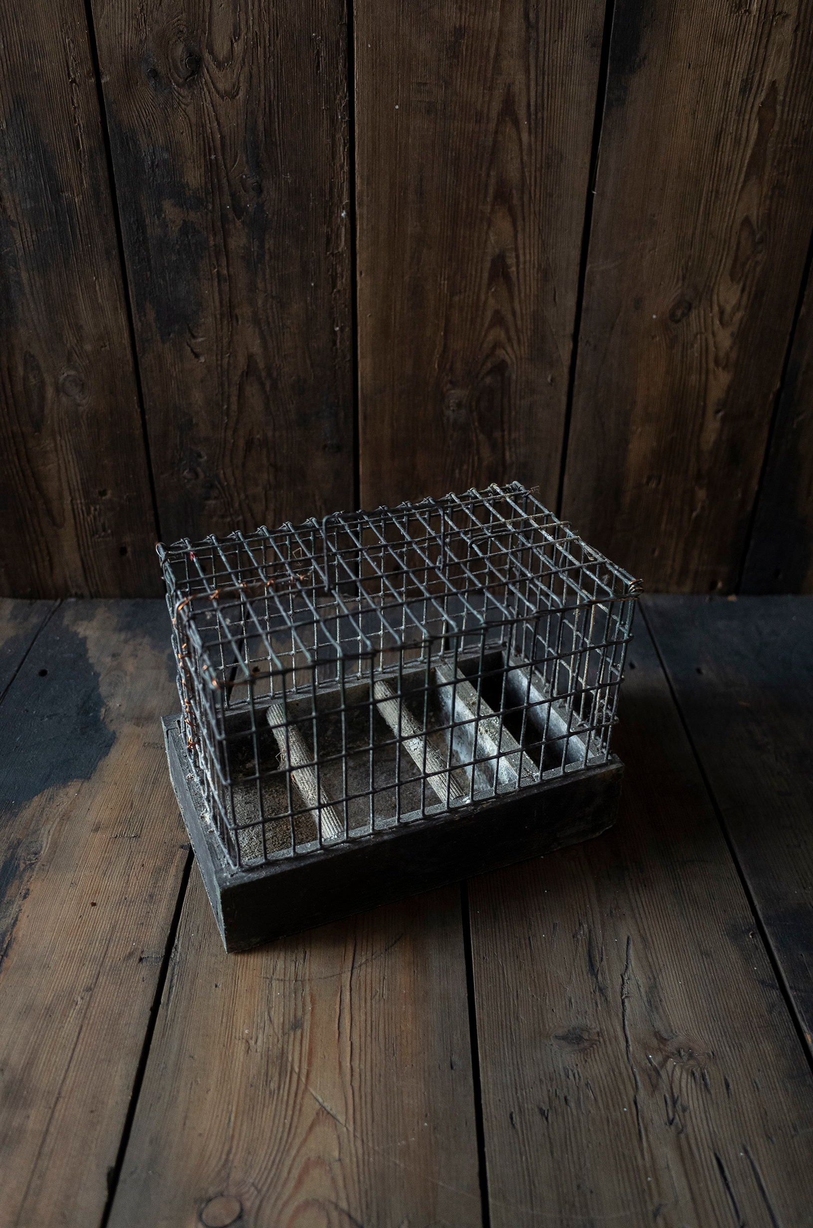 Antique French Primitive Bird Wire Metal Trap Cage Basket Decoration - Etsy