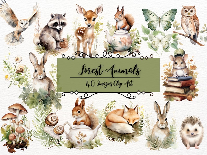Forest Animals Clipart bundle40 PNG Watercolor Woodland Animal nursery ...