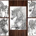 25 Majestic Horses Coloring Book Adults and Kids Printable Coloring ...