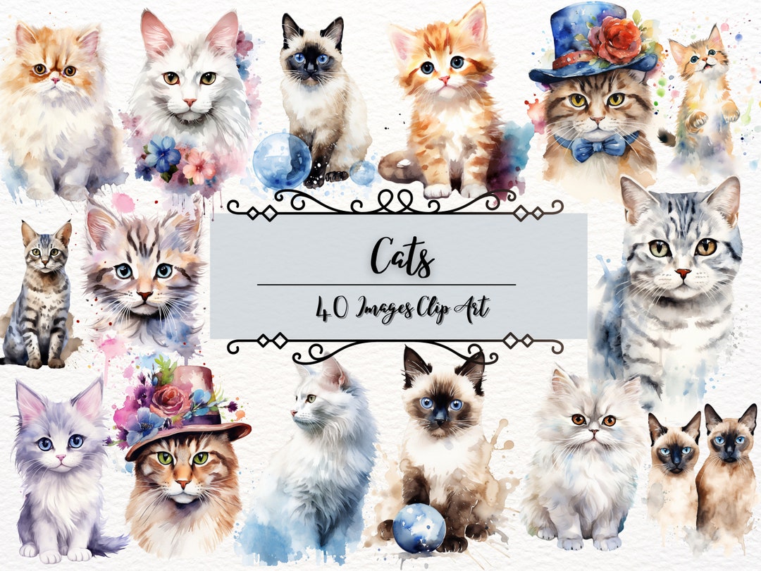 Cats Watercolor Clipart | 40 PNG Image |magical Enchanting Kittens ...