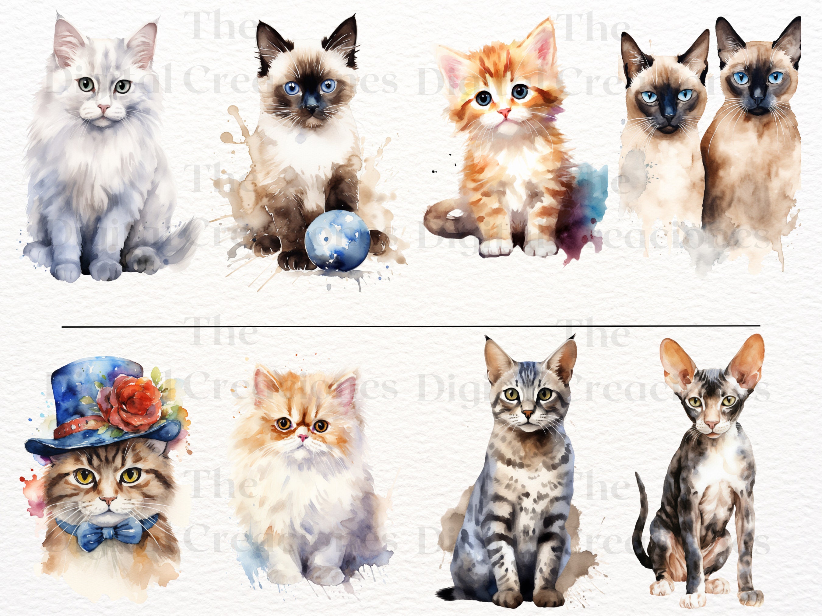 Cats Watercolor Clipart 40 PNG Image magical Enchanting Kittens ...