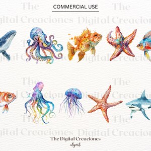 Watercolor Sea Animals Clipart | Octopus, Penguin, Turtle, Clownfish ...