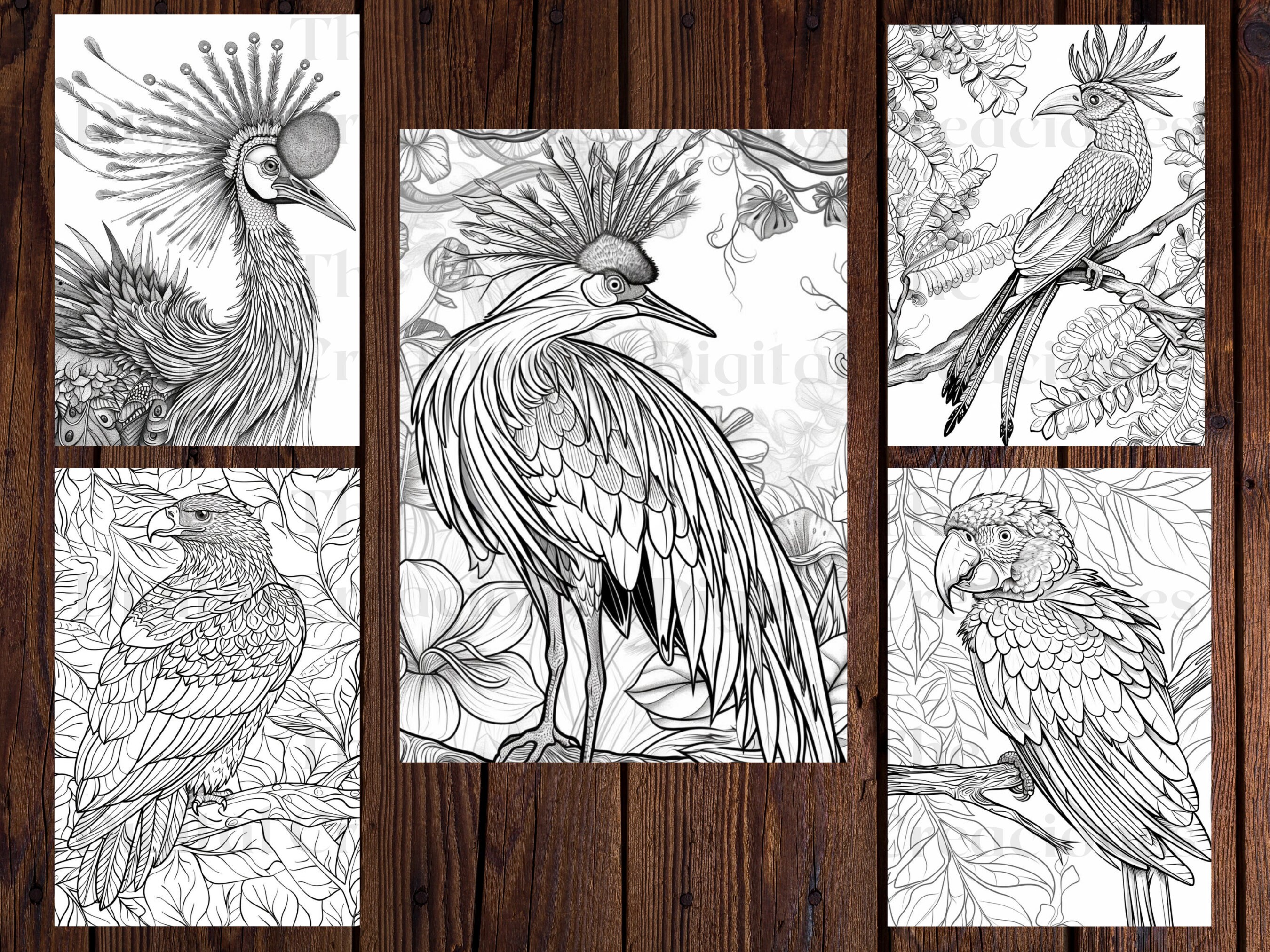 25 Birds Coloring Pages for Adults Tropical Birds Coloring Pages ...
