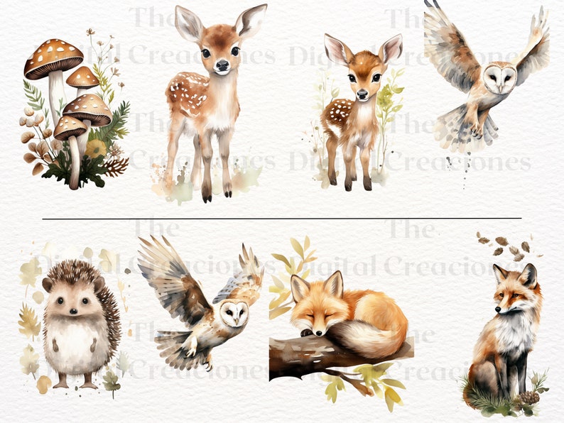 Forest Animals Clipart bundle40 PNG Watercolor Woodland Animal nursery ...