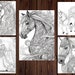 25 Majestic Horses Coloring Book Adults and Kids Printable Coloring ...