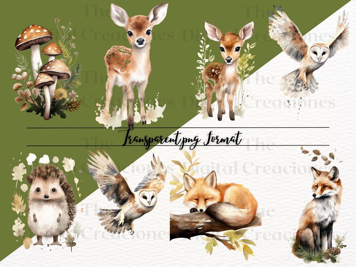 Forest Animals Clipart bundle40 PNG Watercolor Woodland Animal nursery ...