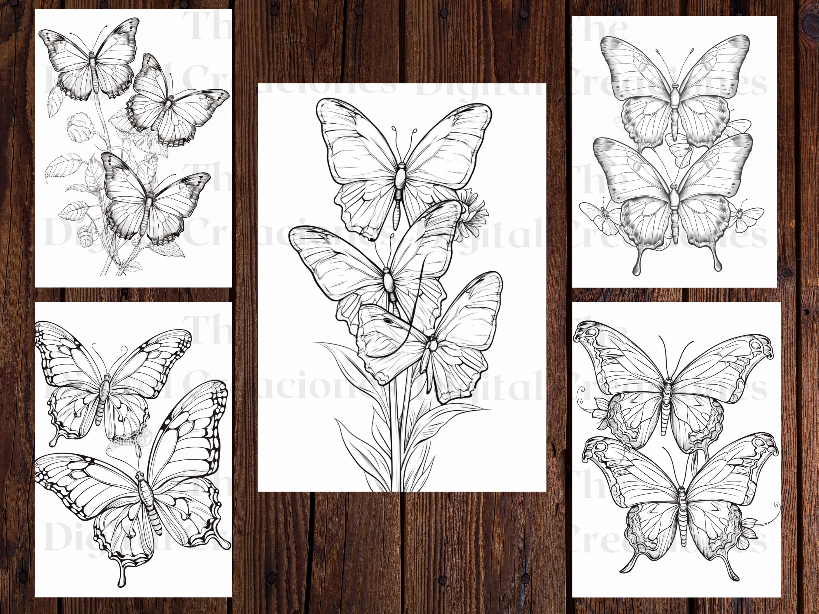 25 Butterflies Coloring Book printable Flower Butterflies Coloring ...
