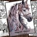 25 Majestic Horses Coloring Book Adults and Kids Printable Coloring ...