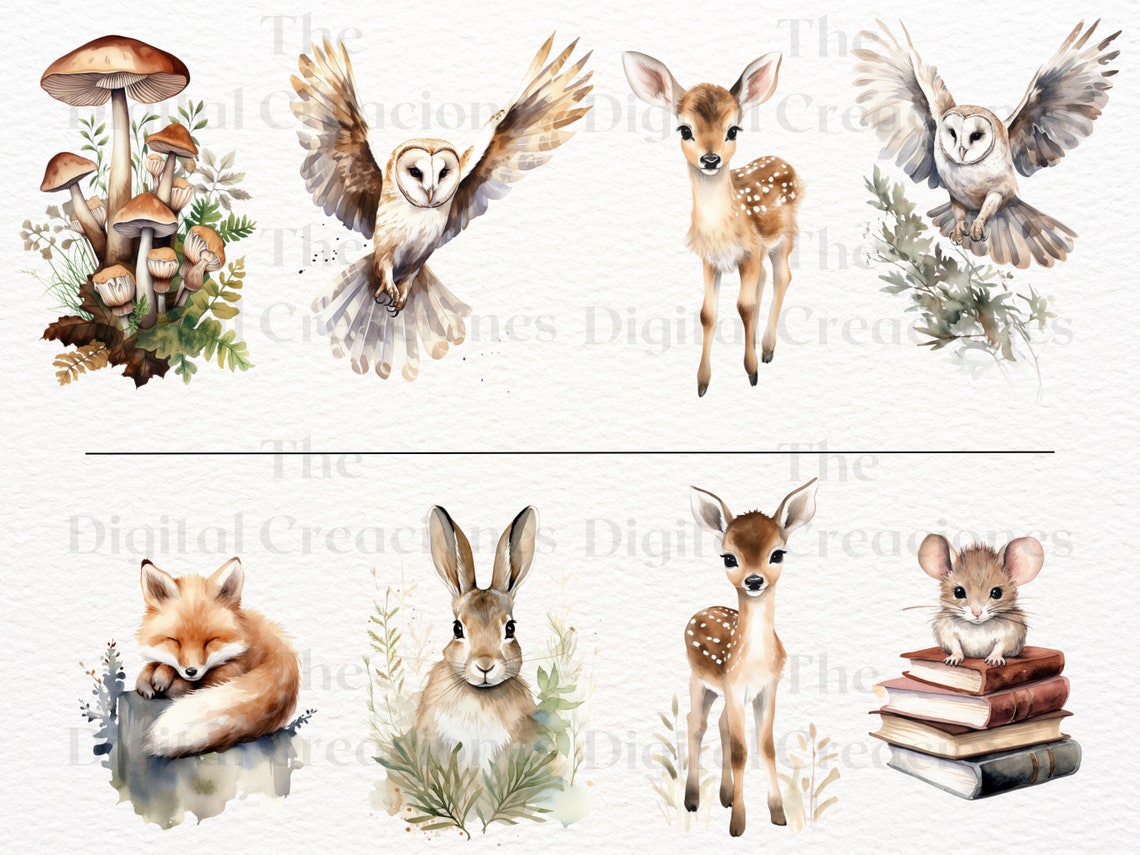 Forest Animals Clipart bundle40 PNG Watercolor Woodland Animal nursery ...