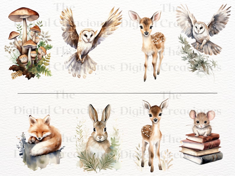 Forest Animals Clipart bundle40 PNG Watercolor Woodland Animal nursery ...