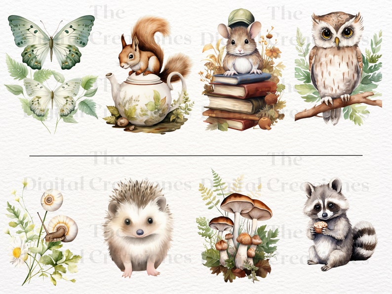 Forest Animals Clipart bundle40 PNG Watercolor Woodland Animal nursery ...