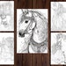 25 Majestic Horses Coloring Book Adults and Kids Printable Coloring ...