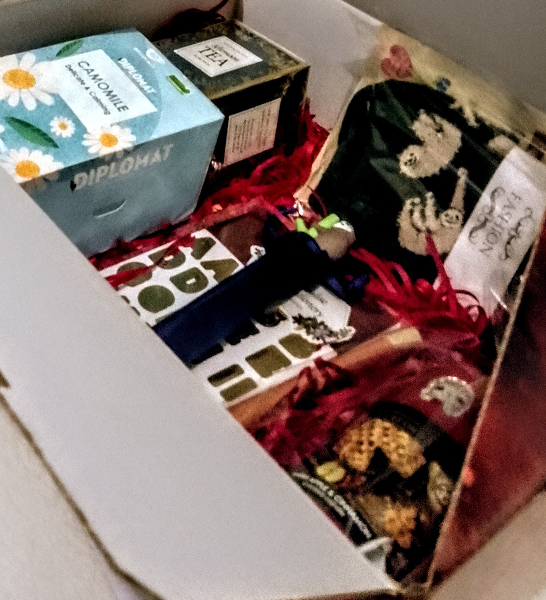 Large Festive Relaxing Sloth Box/self-care - Etsy UK