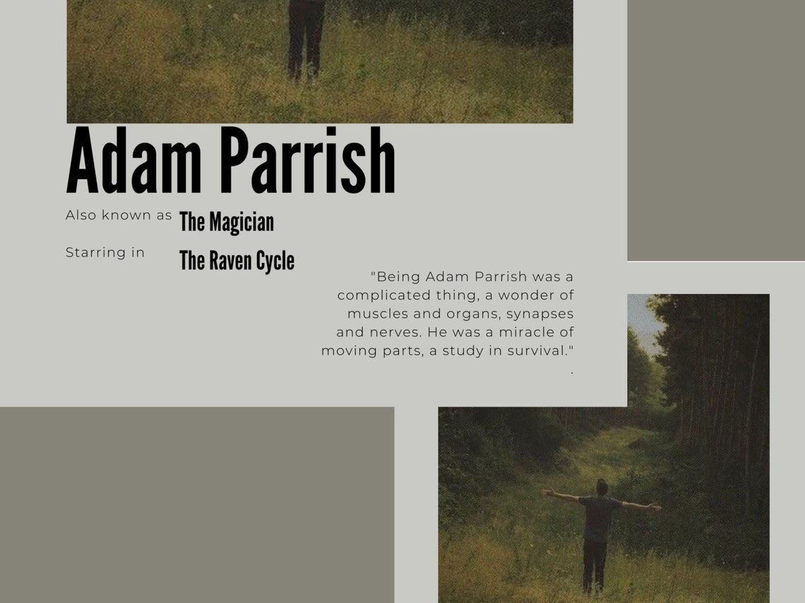 The Raven Cycle Poster 6pc Bundle - Etsy