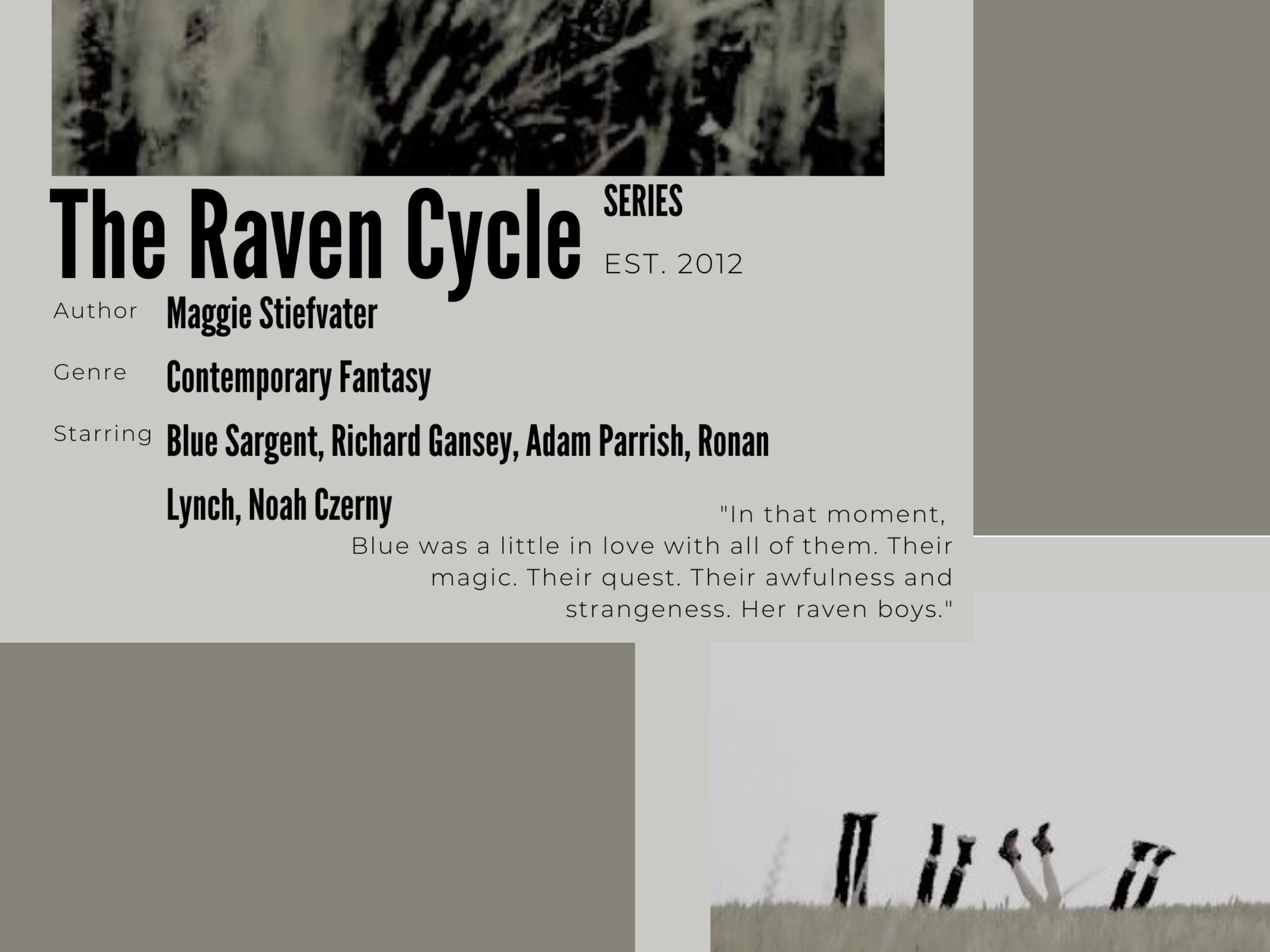The Raven Cycle Poster 6pc Bundle - Etsy